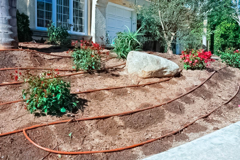 Ground cover